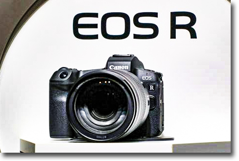 Canon EOS R - Coolに過ごそう